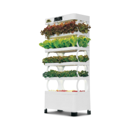 Home Series NFT Hydroponics Leafy Greens System, 5 Shelf